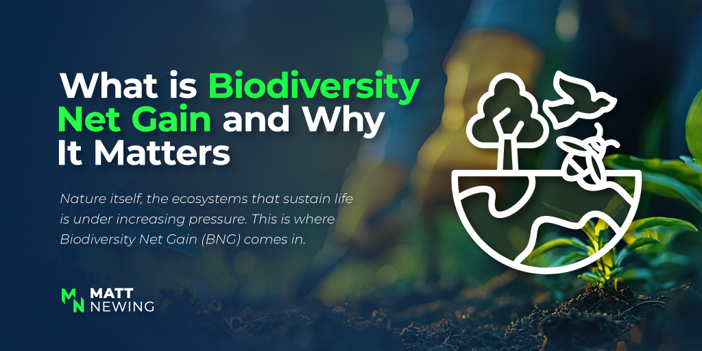 What is Biodiversity Net Gain and Why It Matters